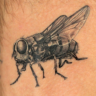 Ink Master All Season Winners with their Tattoo and What they are Doing ...